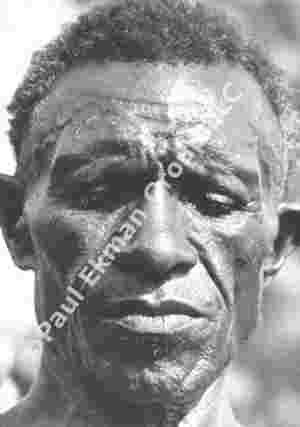 New Guinea Man Photo Set 2 - Paul Ekman Group
