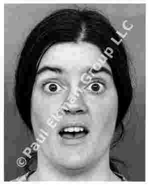 Unmasking the Face Photo Set - Paul Ekman Group