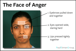 What is Anger? | Feeling Anger | Paul Ekman Group