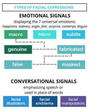 Types of Facial Expressions | Paul Ekman Group