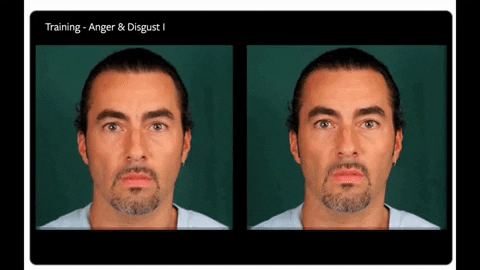 Reading Faces | How to Read Faces | Paul Ekman Group