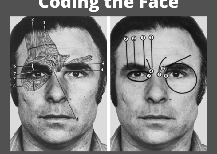 Homepage - Paul Ekman Group