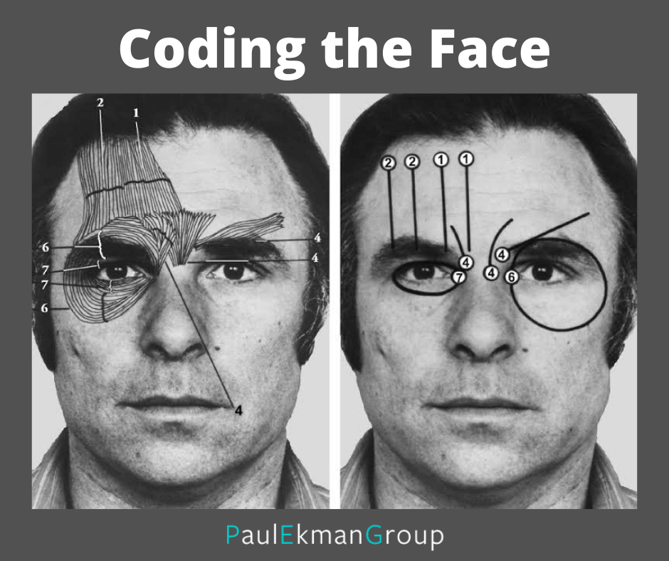 The History Of Facs Facial Action Coding System