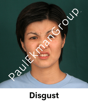 Universal Facial Expression Pictures - High Res Photo Set